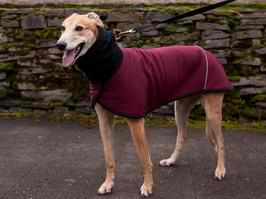 Greyhound Winter Coat
